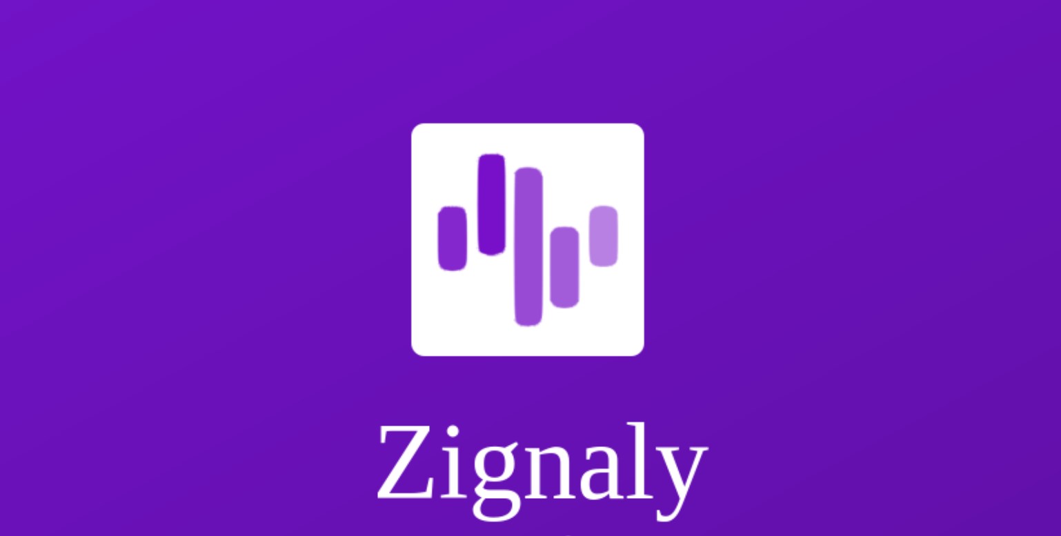 Zig Coin Nedir? Zig Coin Nasıl Alınır? | CoinKritik